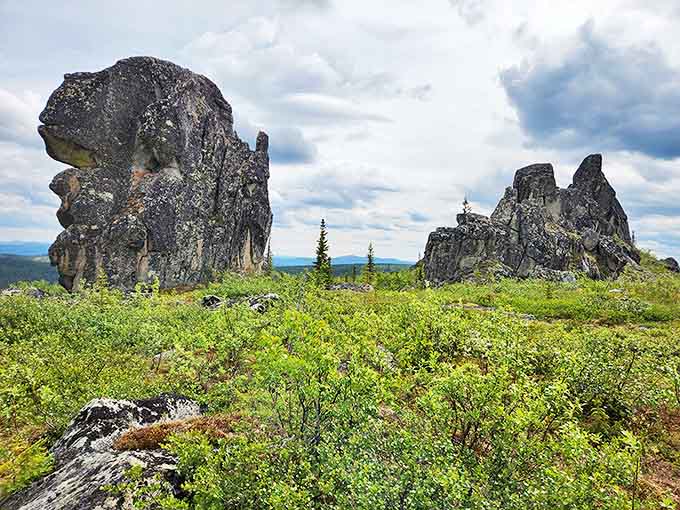 These ancient tors look like nature's chess pieces, standing guard over the tundra for millions of years. Check and mate, ordinary landscapes.