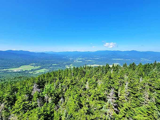 From the fire tower viewpoint, Vermont unfolds like a living topographical map. Worth every step of the climb and every bead of sweat.