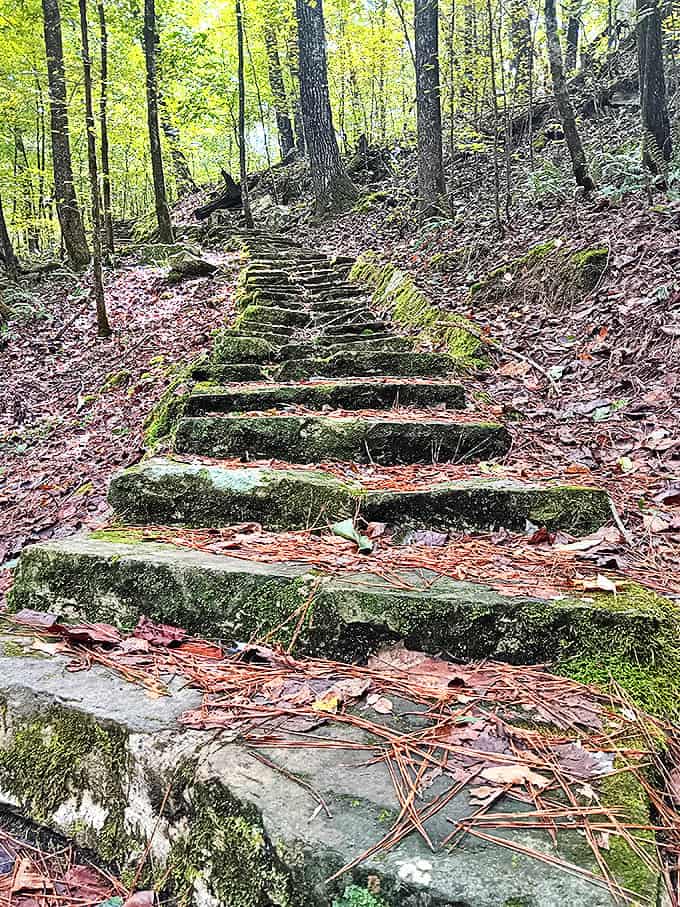 These moss-covered steps lead somewhere magical&mdash;or at least somewhere without Wi-Fi, which might be the same thing.