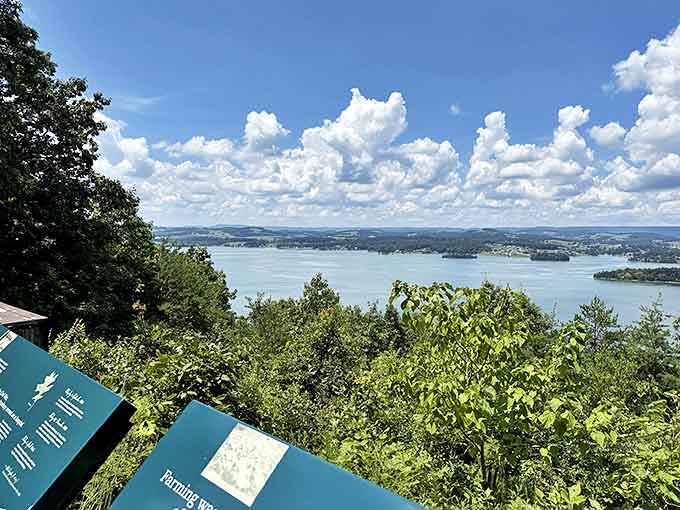 The kind of panorama that makes smartphone cameras feel wholly inadequate. Cherokee Lake stretches out like Tennessee's answer to the Mediterranean.