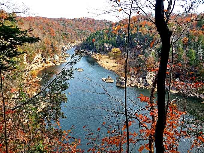 Fall foliage that makes even the most jaded leaf-peeper gasp. The Cumberland River cuts through autumn's palette like an artist's final brushstroke.