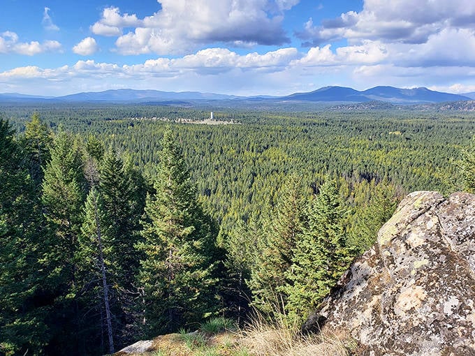 A sea of evergreens stretches to the horizon, reminding us why they call Idaho the Gem State.