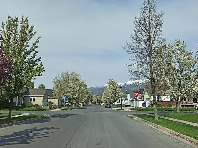 Layton's tree-lined neighborhoods sit peacefully beneath the watchful gaze of the Wasatch Mountains &ndash; suburbia with a spectacular view.