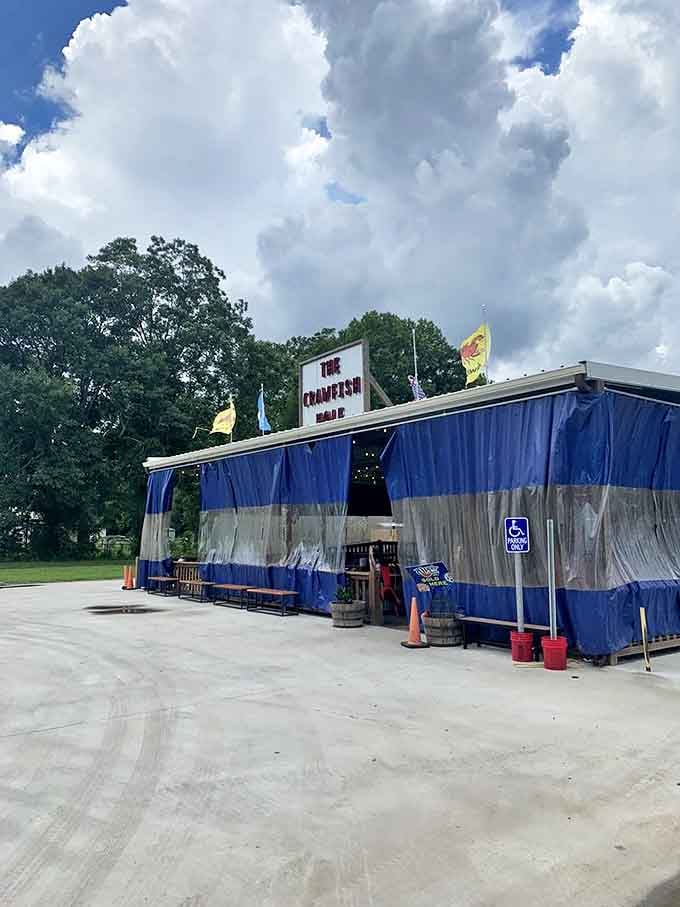 The Crawfish Hole's no-frills approach lets the mudbugs shine. Blue tarps, big flavors, and bigger crowds!