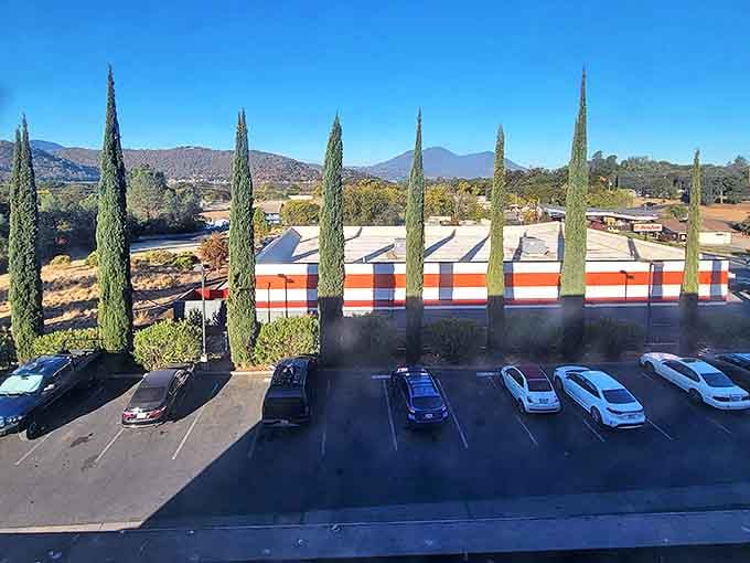 Tall cypress trees line a local business in Clearlake. Where small businesses thrive and everyone knows your coffee order.
