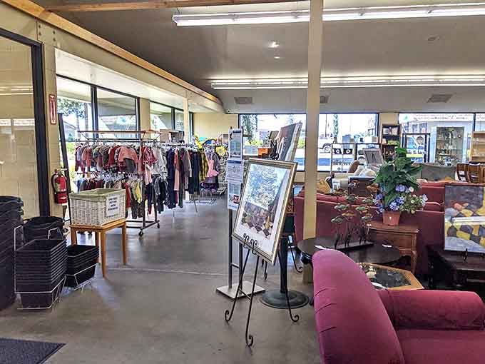 Browse furniture, clothing, and decor while knowing your dollars help furry friends find forever homes.