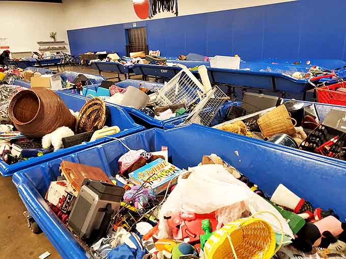 Treasure hunting in its purest form - where one person's decluttering decision becomes another's magnificent find.