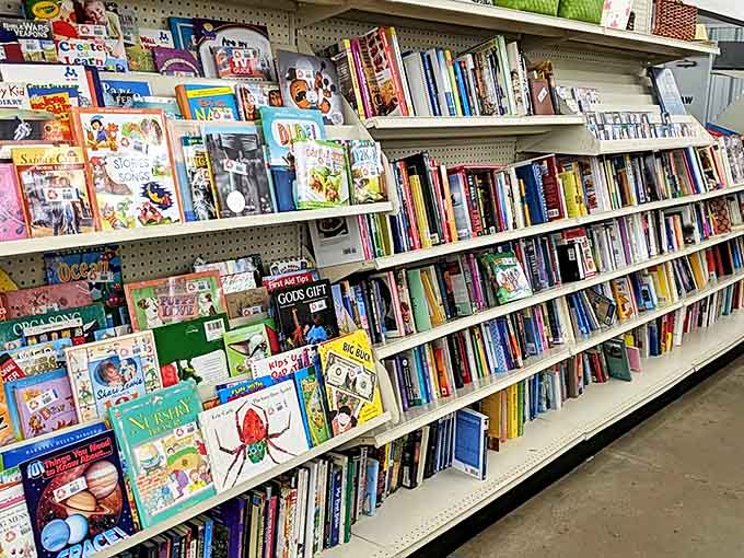 Literary treasures stacked spine to colorful spine. From children's classics to forgotten bestsellers, every book deserves a second chapter in someone's home.