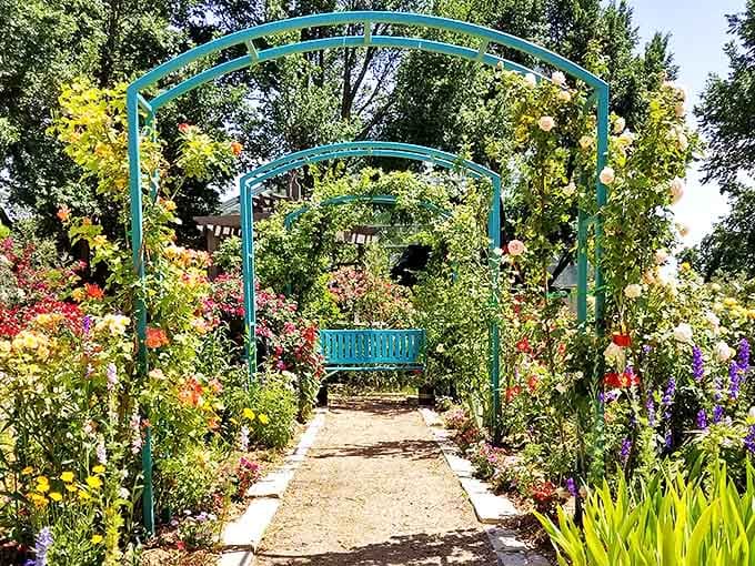 A floral oasis amid the Panhandle plains, Amarillo's Botanical Gardens prove that even in cowboy country, beauty blooms abundantly.