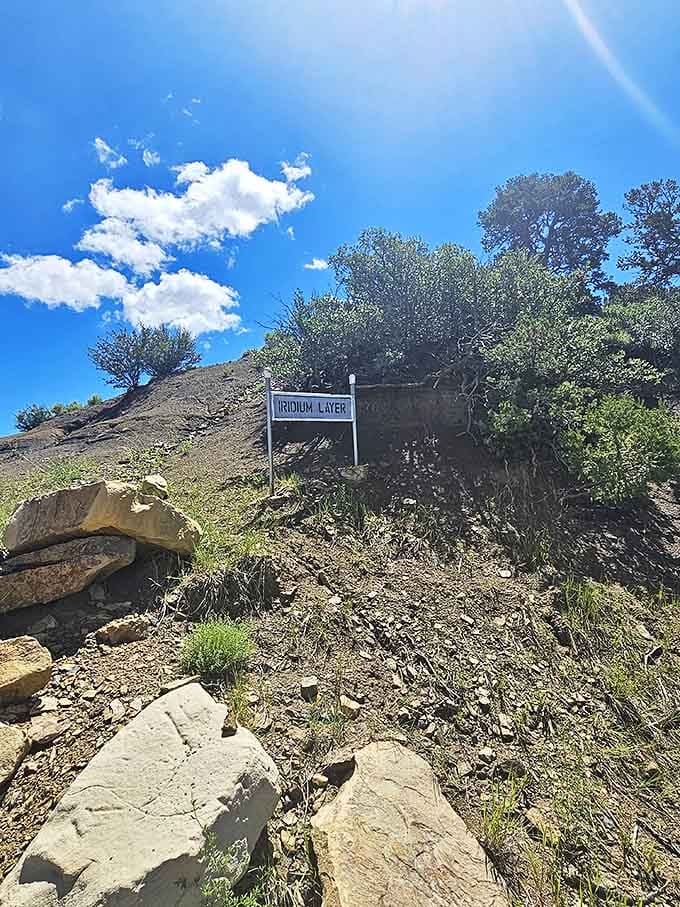 The Iridium Layer marker at Climax Canyon Nature Trail hints at geological wonders, where science and scenery create an unexpected hiking highlight.