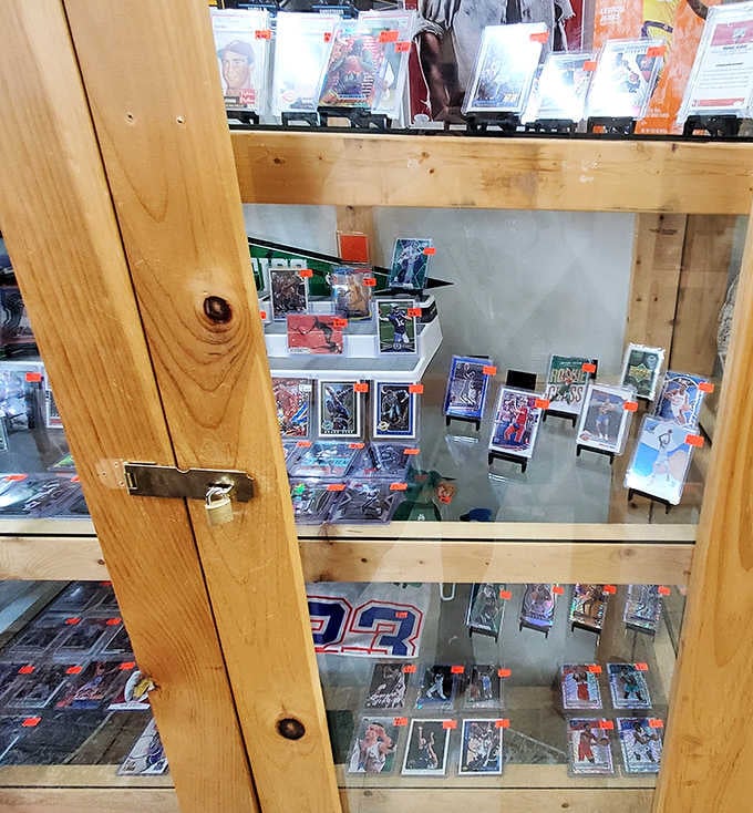 Sports card heaven for the serious collector. These protected plastic shrines hold the heroes of yesterday, their values fluctuating like the stock market for nostalgia.