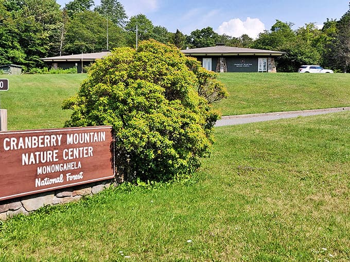The Cranberry Mountain Nature Center&mdash;where park rangers know more about local wildlife than most of us know about our smartphone settings.