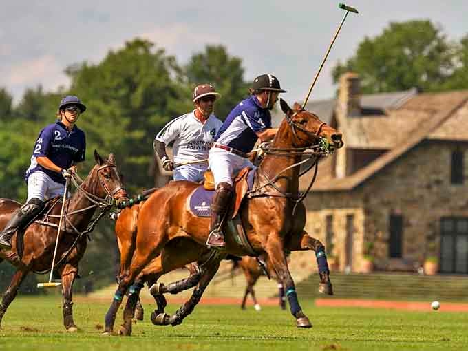 Polo in Greenwich: where horses are better dressed than most people at your high school reunion, and the divot stomping is practically an Olympic sport.
