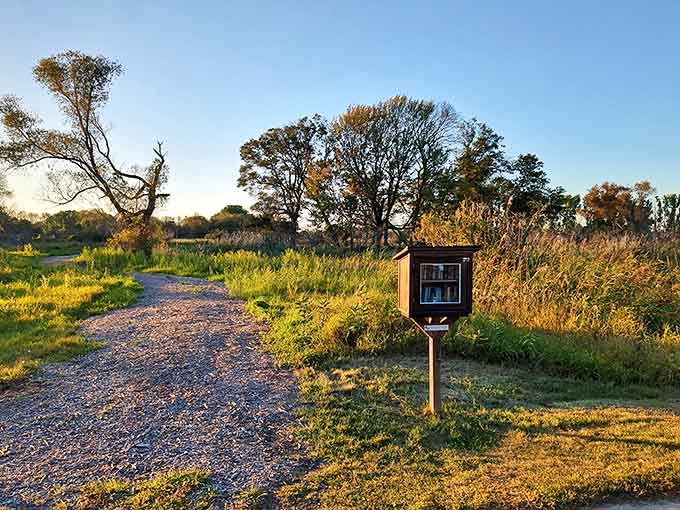 A little free library stands sentinel along a nature trail, offering literary companions for your walk—proof that good stories still grow wild in Wisconsin.
