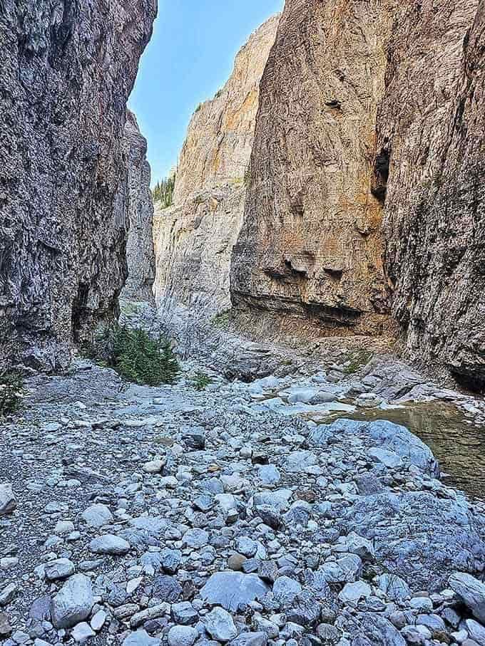Nature carved this dramatic canyon over millennia &ndash; no special effects needed for this blockbuster landscape just outside Choteau.