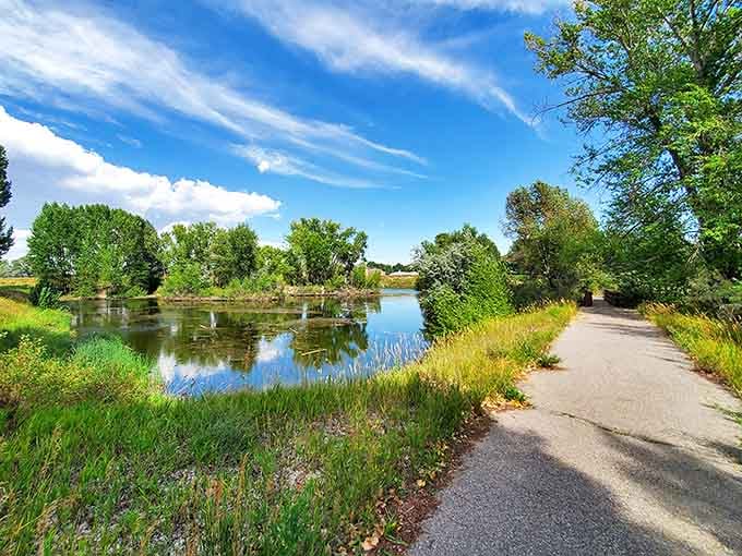 Nature's perfect stress reliever: a peaceful pathway alongside still waters, where the only notification you'll receive is from a curious duck.