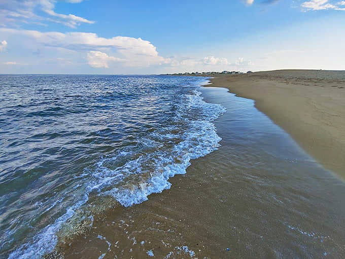 Where the Atlantic kisses the shoreline at Plum Island Beach &ndash; a pristine stretch of sand that makes even the most jaded New Englander pause in wonder.