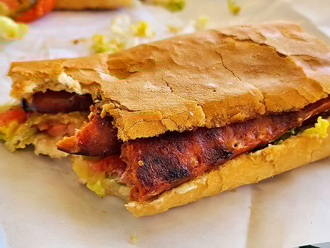 This isn't just a sandwich; it's edible architecture with perfectly crisp bread and fillings that demand your full attention.