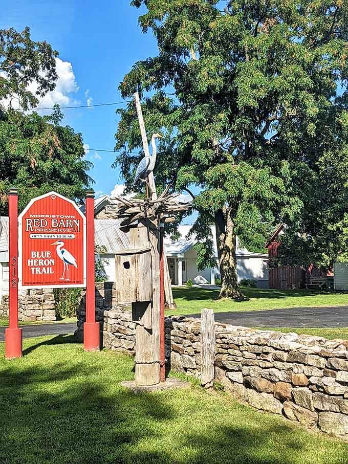 The Red Barn Preserve's Blue Heron Trail invites visitors to slow down and reconnect. Even the wooden bird houses look like they're enjoying retirement.