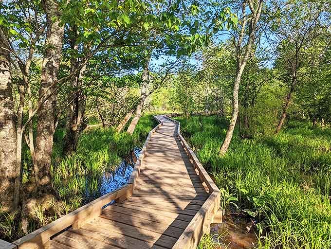 Nature's version of a meditation app, this wooden boardwalk through Rocky River Park lets you disconnect while staying blissfully dry. Serenity without the subscription fee.