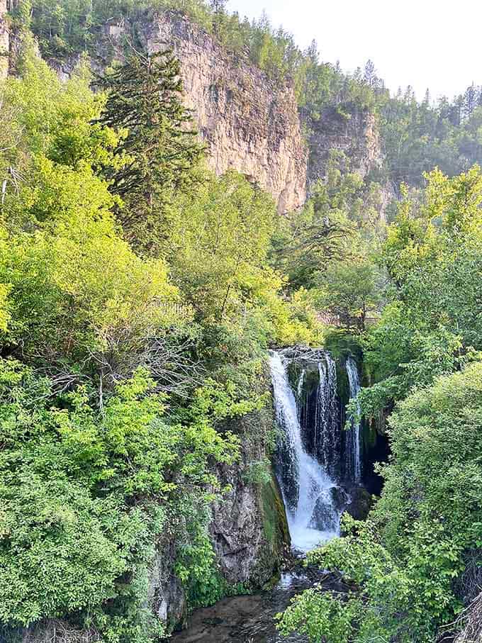 Roughlock Falls cascades down limestone steps like nature's own grand staircase. No red carpet needed – the surrounding greenery provides all the glamour.