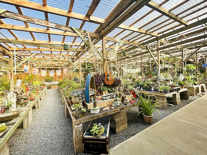 The Sacred Garden of Maliko offers a peaceful greenhouse sanctuary where plants and artistic displays create a meditative escape from everyday life.