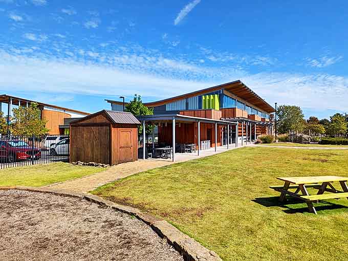 The Scott Family Amazeum invites curious minds of all ages to touch, explore, and discover&mdash;where "Don't touch that!" becomes "Have you tried this yet?"