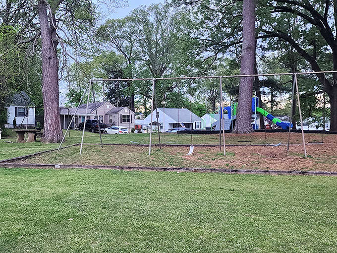 Simple pleasures abound at York Terrace Park, where swings and slides await under towering trees, proving childhood fun doesn't require complicated technology.