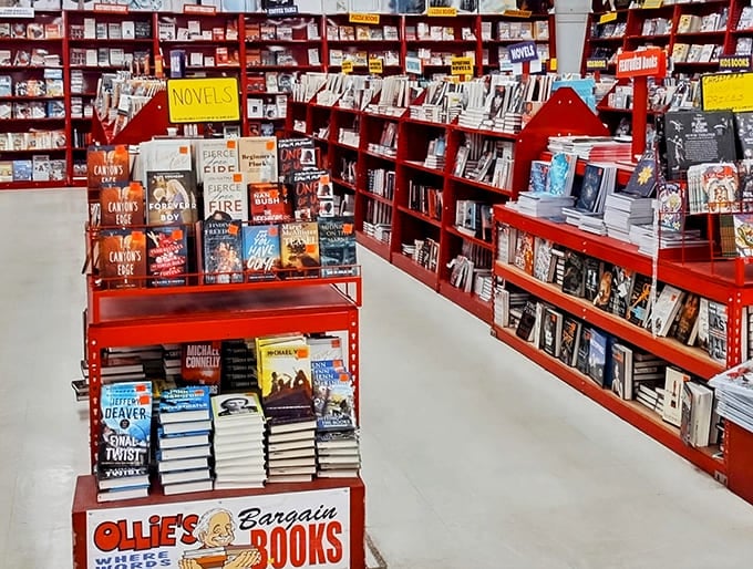 Bibliophiles rejoice! Bestsellers that commanded $30 elsewhere now beckon from vibrant red shelves at prices that make building a personal library actually affordable.