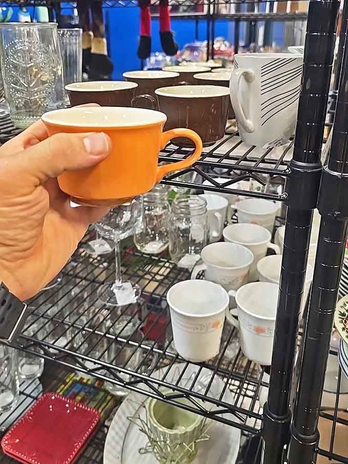 Mugs with personality line up like hopeful contestants on a dating show. That orange soup cup is practically begging to be filled with something warm and comforting.