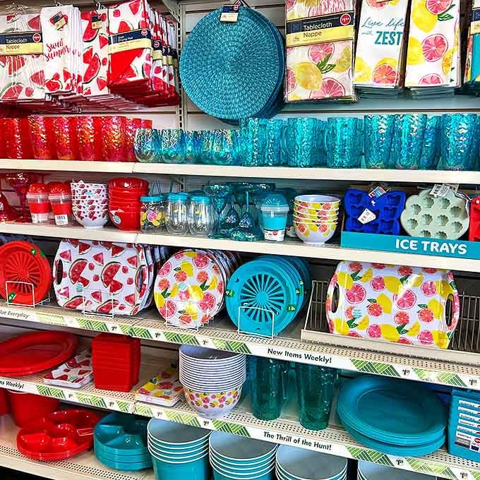 Summer entertaining made affordable! These vibrant trays and glasses transform backyard gatherings without transforming your bank account balance.