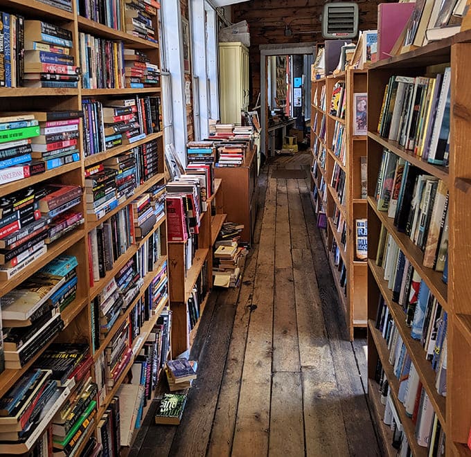 Wooden floors that have supported generations of book lovers creak beneath your feet as you navigate this labyrinth of literary wonders.