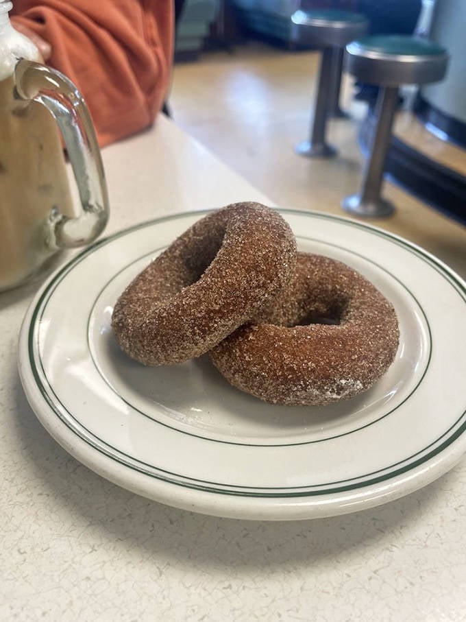 These cinnamon-sugar donuts aren't just breakfast—they're edible therapy. Two perfect rings of comfort that make Monday mornings bearable again.