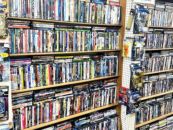 A cinephile's dream come true – shelves packed with forgotten films and beloved classics, each spine telling a story before you even press play.