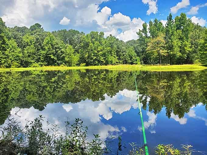 Mirror, mirror on the pond&mdash;reflecting skies so perfect they make professional photographers question their career choices.