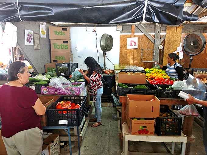 Farm-fresh finds amid the vintage treasures. The produce section offers a welcome burst of color and nutrition between aisles of collectibles.