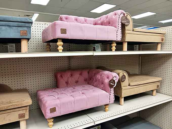 Fancy pet furniture fit for royalty&mdash;or at least your princess pup&mdash;at prices that won't have you living in the doghouse.