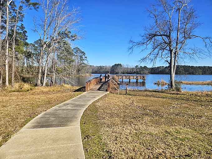 A wooden pathway invites visitors to venture closer to the water's edge. Some journeys are about the destination AND the boardwalk.
