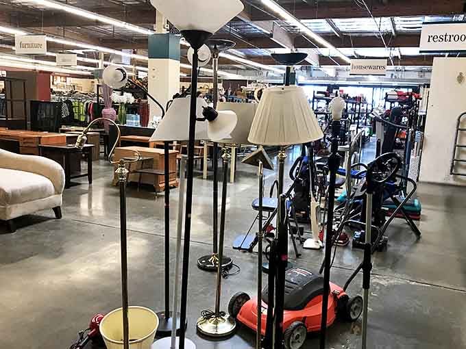 Floor lamps stand at attention like an army of illumination, ready to brighten corners and budgets with equal efficiency.