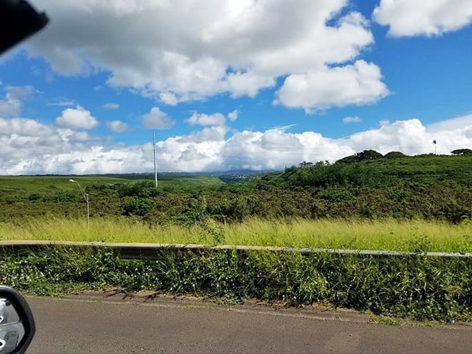 Rolling hills and open grasslands offer a refreshing contrast to coastal views, proving Hawaii's landscapes are as diverse as a buffet at a family reunion.