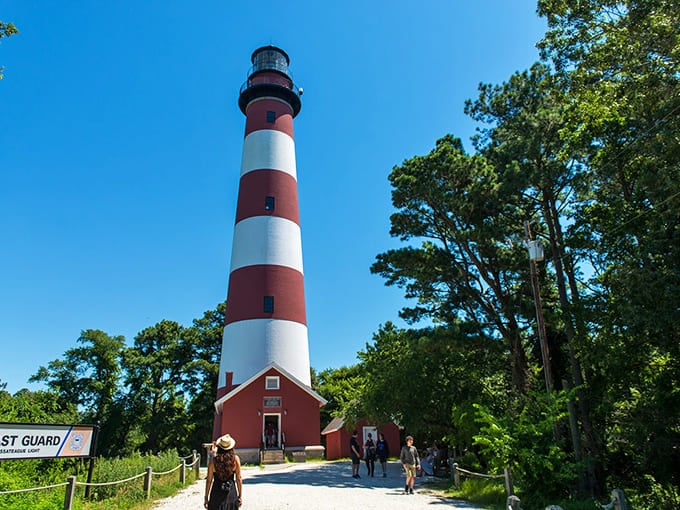 Assateague Lighthouse stands like a candy cane sentinel against the blue sky. For over 150 years, it's been guiding mariners home&mdash;and now it guides camera-wielding visitors too.