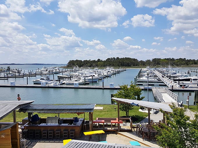 Boat heaven! The marina offers sailors and dreamers alike a perfect home base for aquatic adventures or simply admiring vessels while sipping morning coffee.