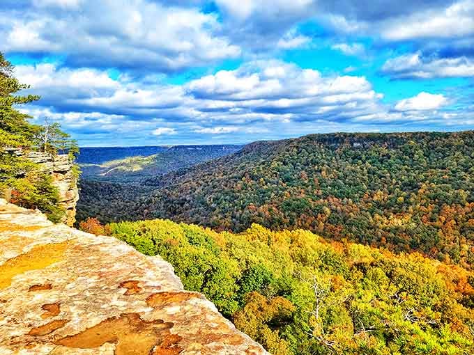 Standing at this overlook feels like being on the edge of the world. The autumn colors create a tapestry that no human artist could rival.