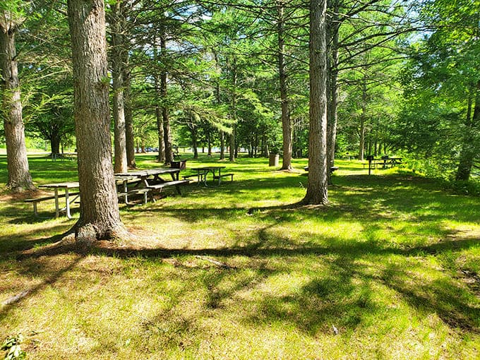 Picnic tables scattered like chess pieces under towering pines&mdash;nature's dining room where even a simple sandwich tastes like five-star cuisine.