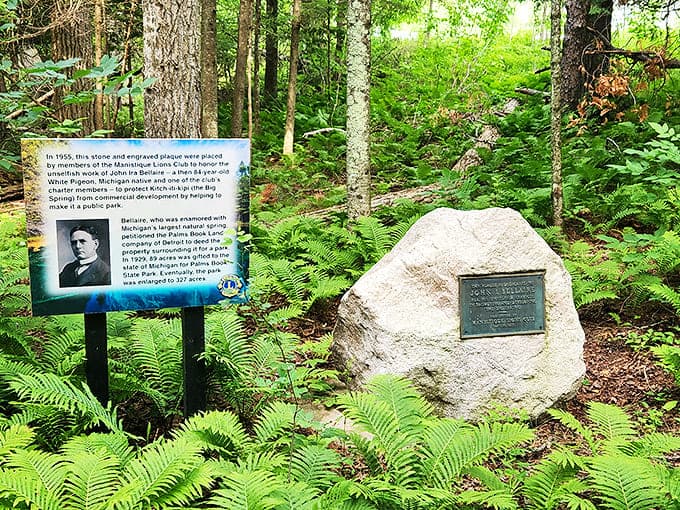 History etched in stone &ndash; where conservation vision became reality. Some heroes wear business suits, not capes.