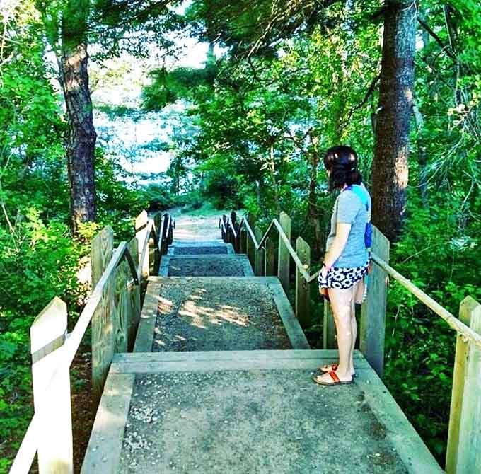 Wooden staircases lead to hidden treasures throughout the park. Each step down brings you closer to that "aha" moment waiting at the bottom.