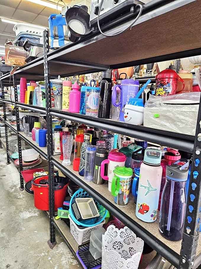 Water bottle heaven or hydration museum? Either way, this colorful collection proves one person's decluttering is another's perfect find.