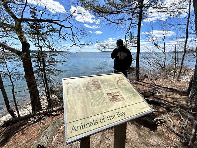 Sometimes the best view requires nothing more than standing still and letting the world do its thing.