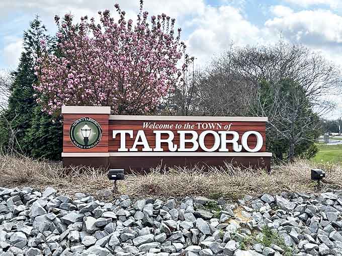 Nothing says "small town welcome" like flowering trees and a wooden sign. Tarboro's entrance marker blooms with Southern hospitality.