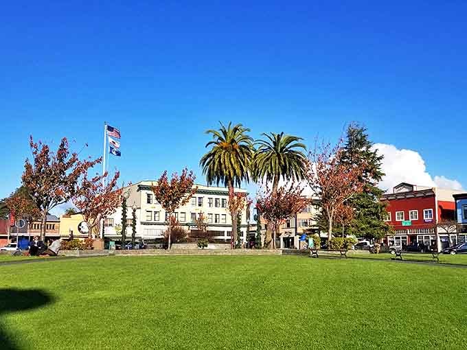 Arcata's charming town square buzzes with local energy, surrounded by Victorian buildings and towering redwoods beyond.
